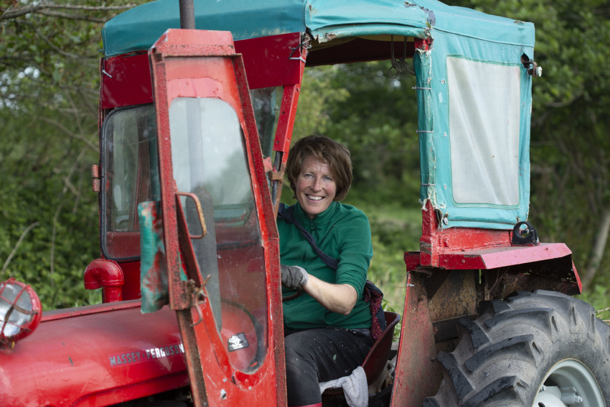 Embedded Artist - Lisa Fingleton - Dingle Peninsula 2030 / Corca ...